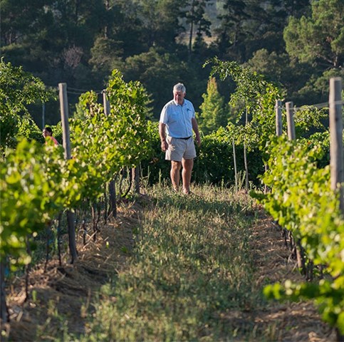 The Farm | wine.co.za