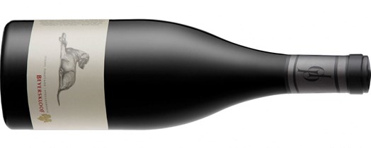Beyerskloof Diesel Pinotage 2008 | wine.co.za