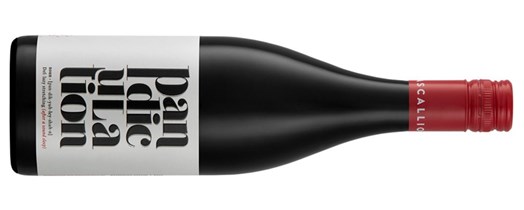 Rascallion Wines Pandiculation 2015 | wine.co.za