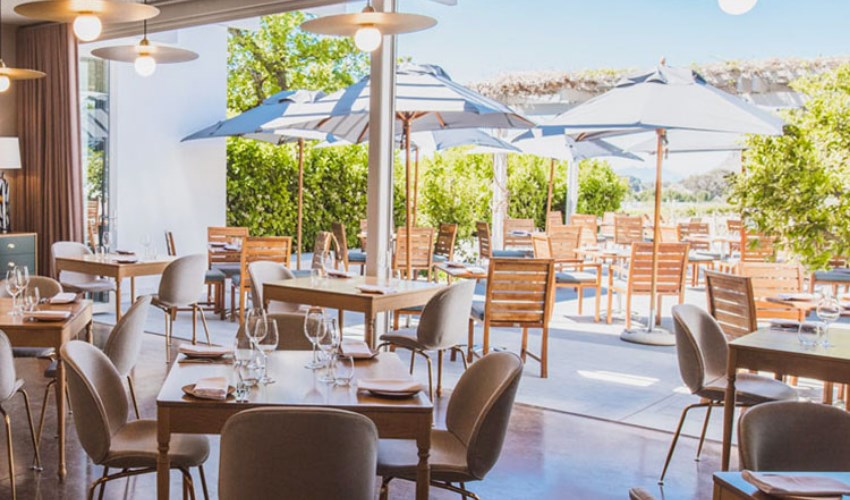 Steenberg Vineyards: 8 Reasons to escape to this iconic destination ...