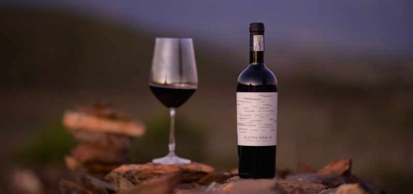 Best value wines for the festive season | wine.co.za