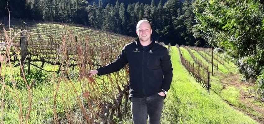 Chamonix Old Vine Chenin Blanc strikes coveted 95pt rating in Decanter ...