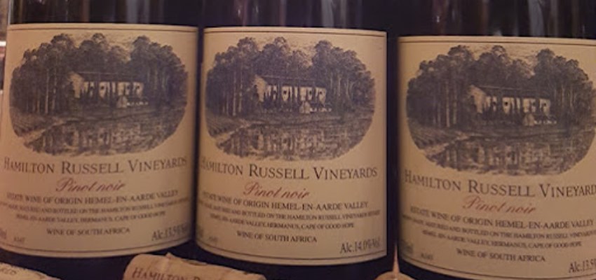 40 Years of Hamilton Russell Pinot Noir | wine.co.za