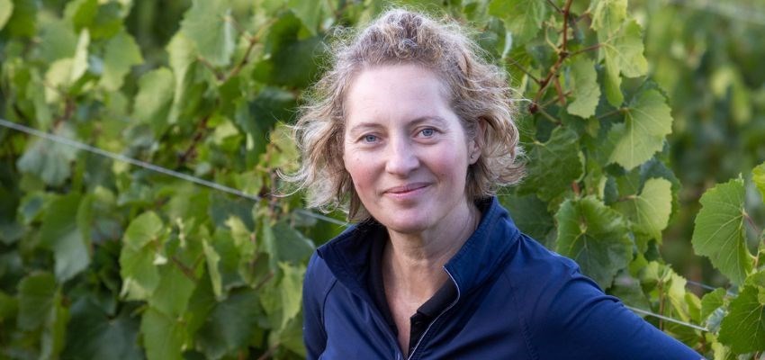 Backsberg celebrates Women's Month with Ella Pinotage Rosé promotion ...