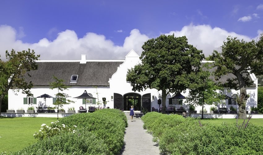 Sip, sun and scenic elegance at Steenberg | wine.co.za