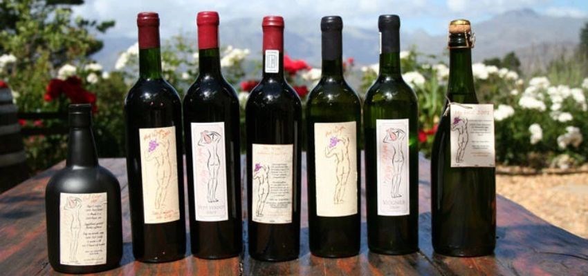 The 15 best wine farms in Franschhoek | wine.co.za
